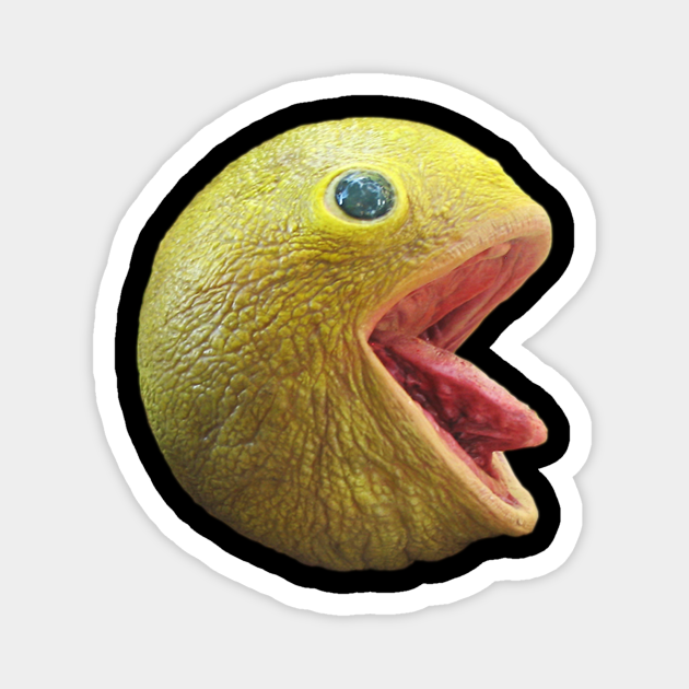 Realistic Pac Man - Scary - Magnet | TeePublic