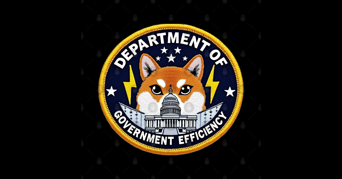 DOGE Patch Department of Government Efficiency Patch - Doge - Sticker ...