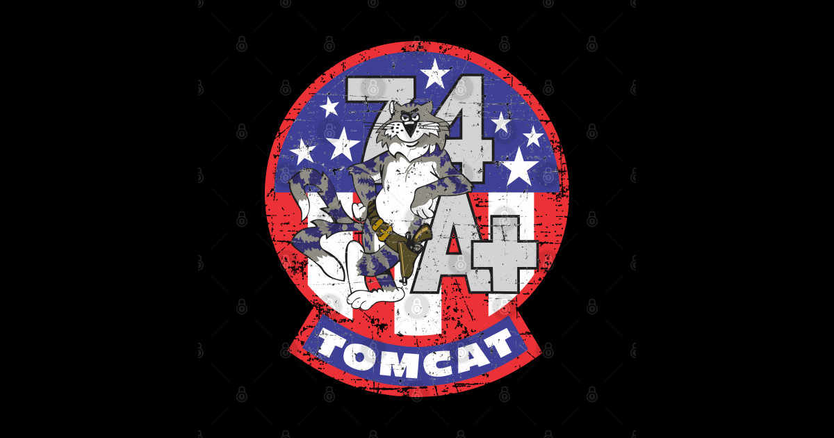 Grumman F-14 Tomcat A+ (plus) 74 - Grunge Style - Grumman F 14 Tomcat ...