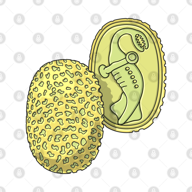 Tully Monster Concretion - Tullimonstrum Fossil Nodule - Tully Monster ...