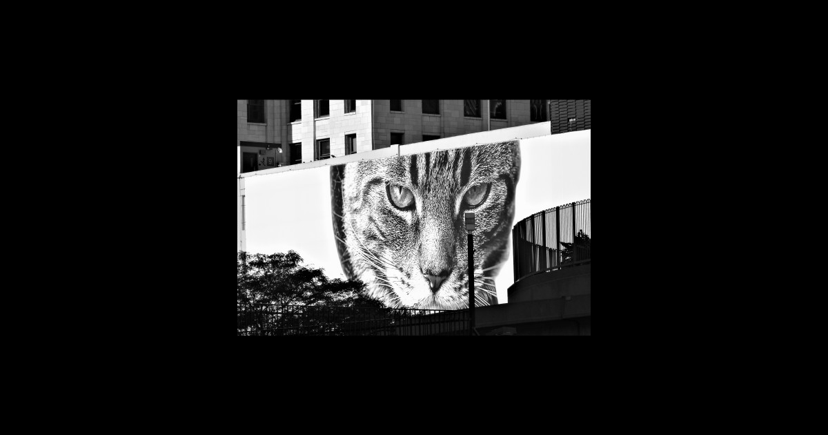 Detroit cat - Streetart - Sticker | TeePublic