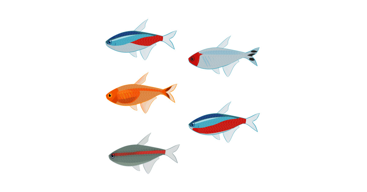 Freshwater fish Tetra pattern - Tetra - T-Shirt | TeePublic