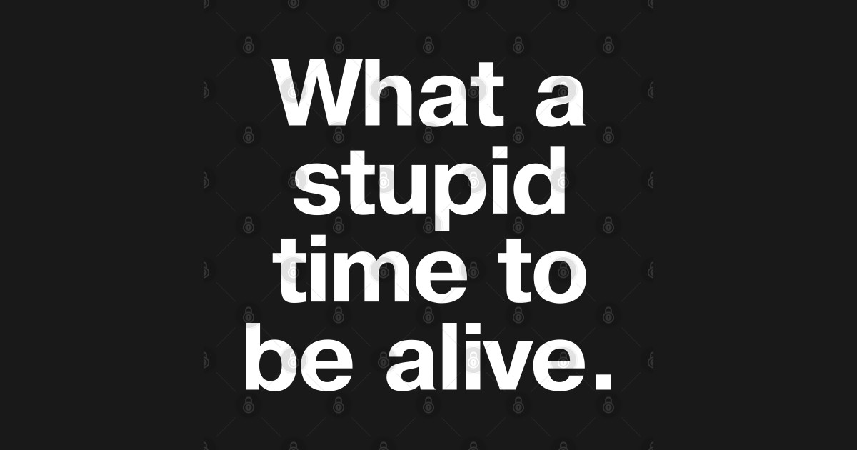 "What a stupid time to be alive." in plain white letters - it really is ...