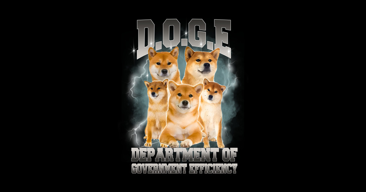 D.O.G.E DOGE Department Of Government Efficiency Bootleg - Doge Doge ...