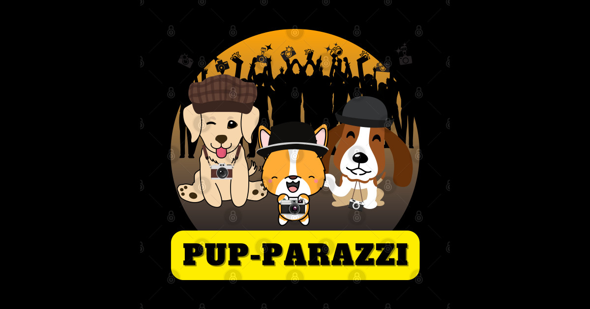 Pup-parazzi crowd - golden retriever corgi and beagle - Pup Parazzi ...