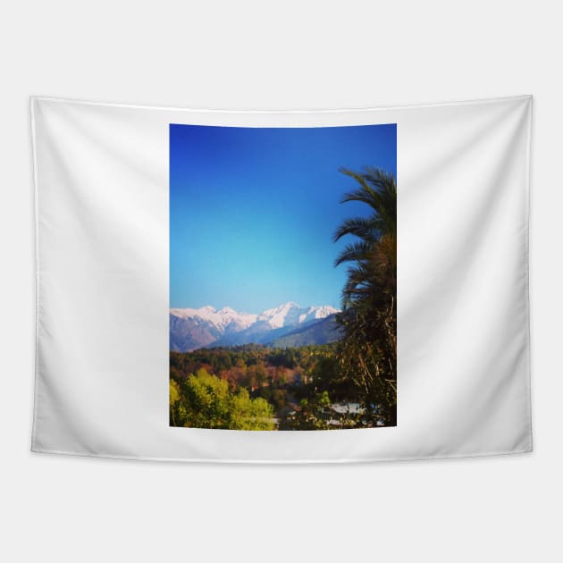 Himalayan Palm Tree - Snow - Tapestry | TeePublic