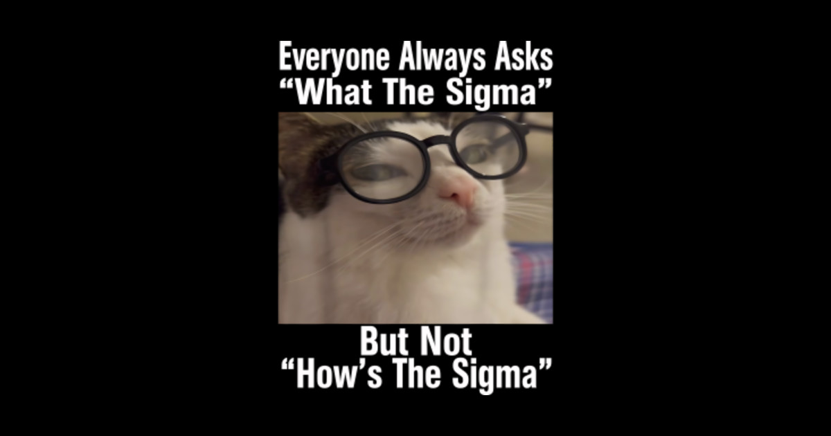 Hows The Sigma Funny Cat Meme What The Sigma Humorous Joke - Funny Cat ...
