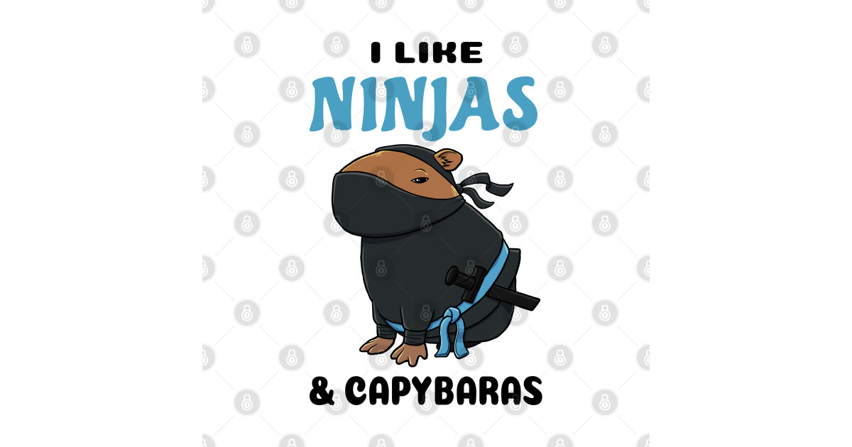I like Ninjas and Capybaras - Funny Capybara - T-Shirt | TeePublic