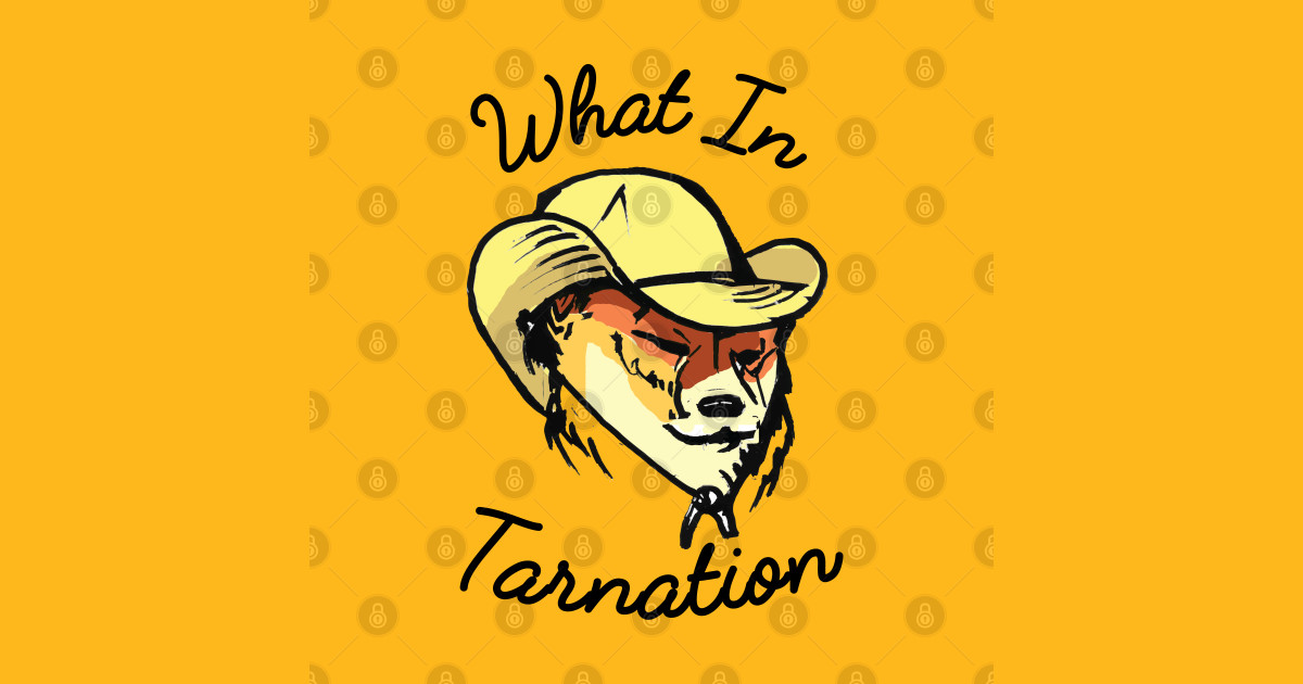 What in Tarnation Meme - Wot N Tarnation Cowboy Hat Dog - Tarnation ...