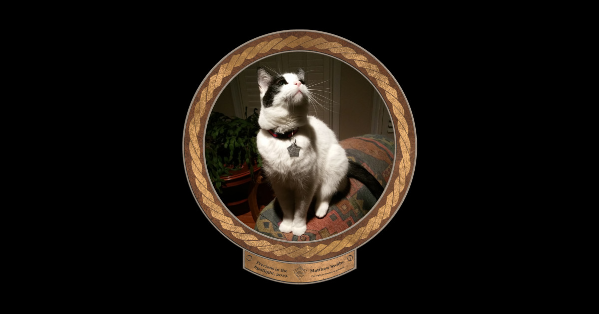 Precious in the Spotlight - Cat - Sticker | TeePublic