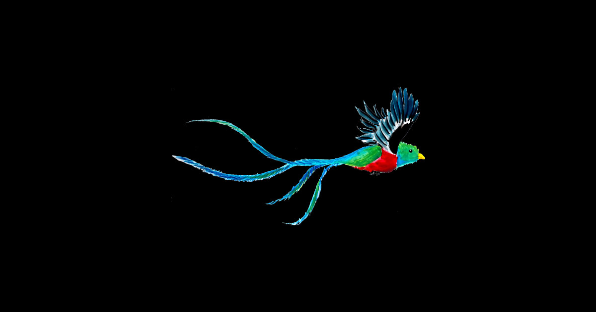Flying Quetzal in Watercolor - Quetzal - Sticker | TeePublic
