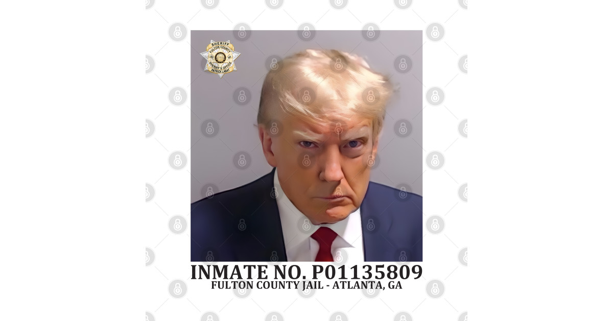 Inmate Trump Mugshot Fulton County Jail - Donald Trump Mugshot - T ...