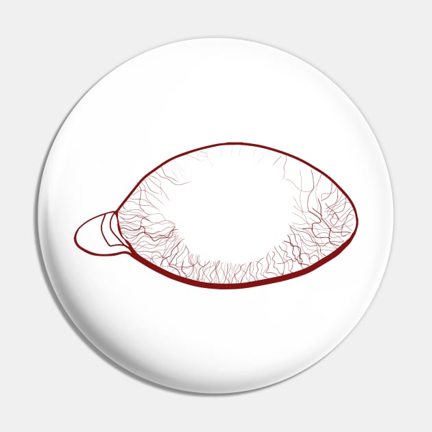 Red Eye Veins Line Art - Eye Veins Red - Red Veins in Eyes - Eye ...