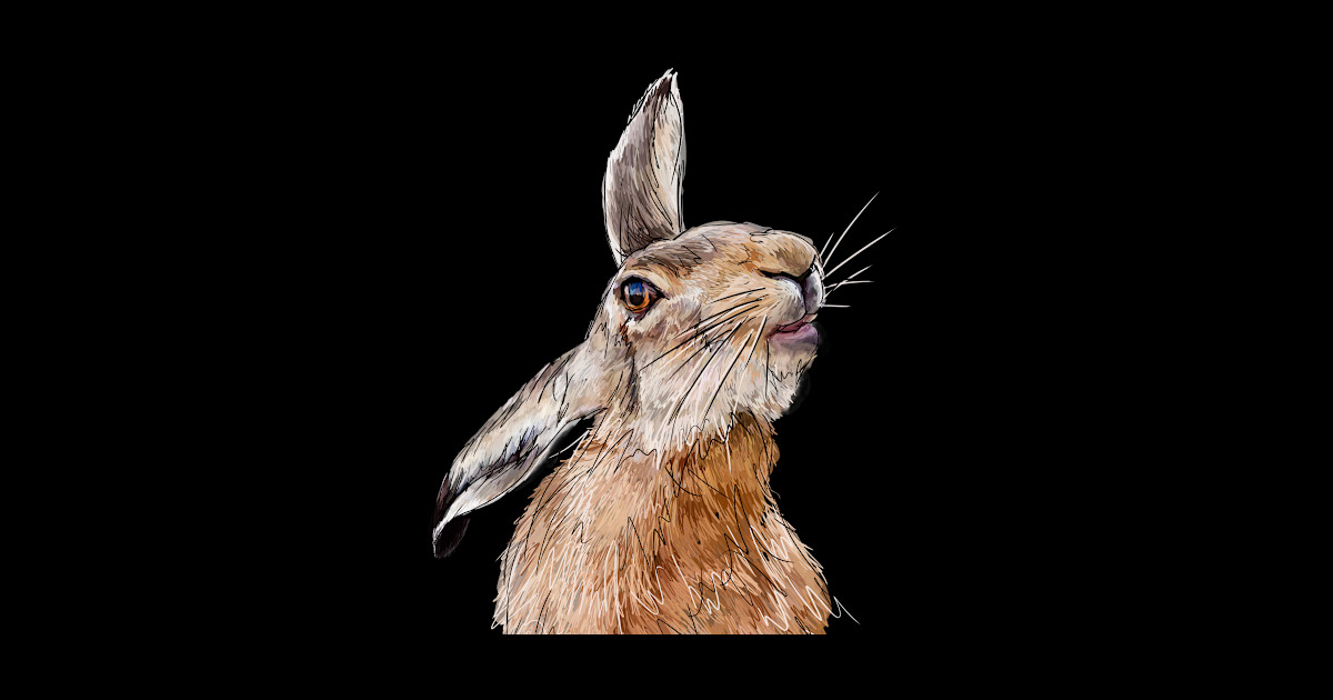 After Coffee - Hare Digital Drawing - Hare - Sticker | TeePublic