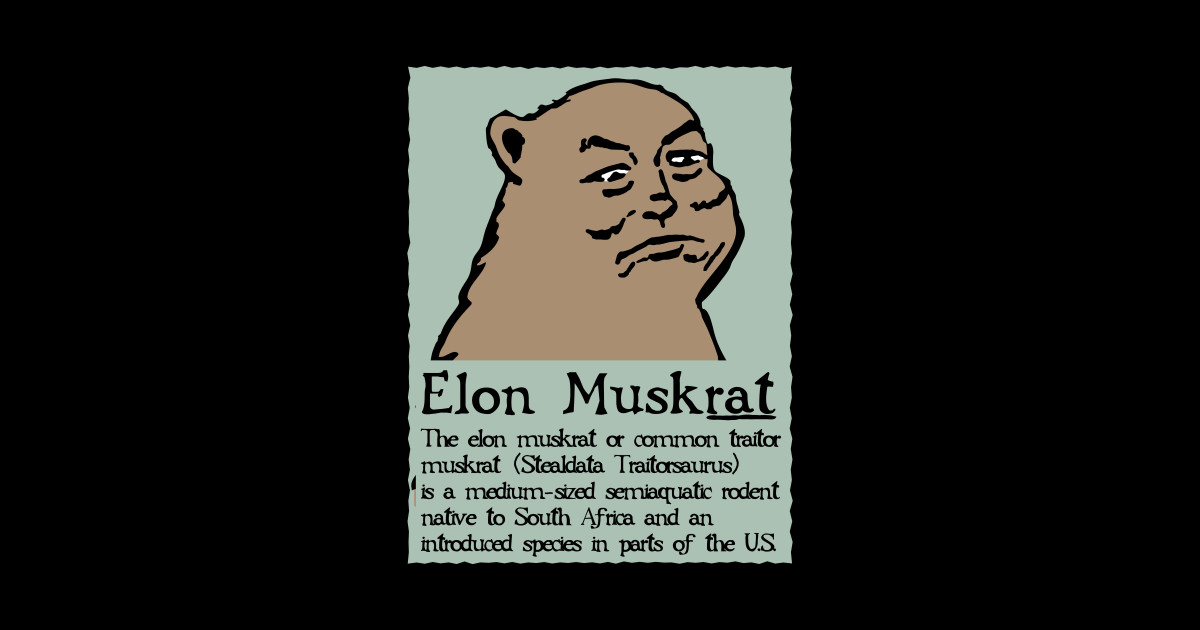 Elon Muskrat Definition - Elon Muskrat - Sticker | TeePublic