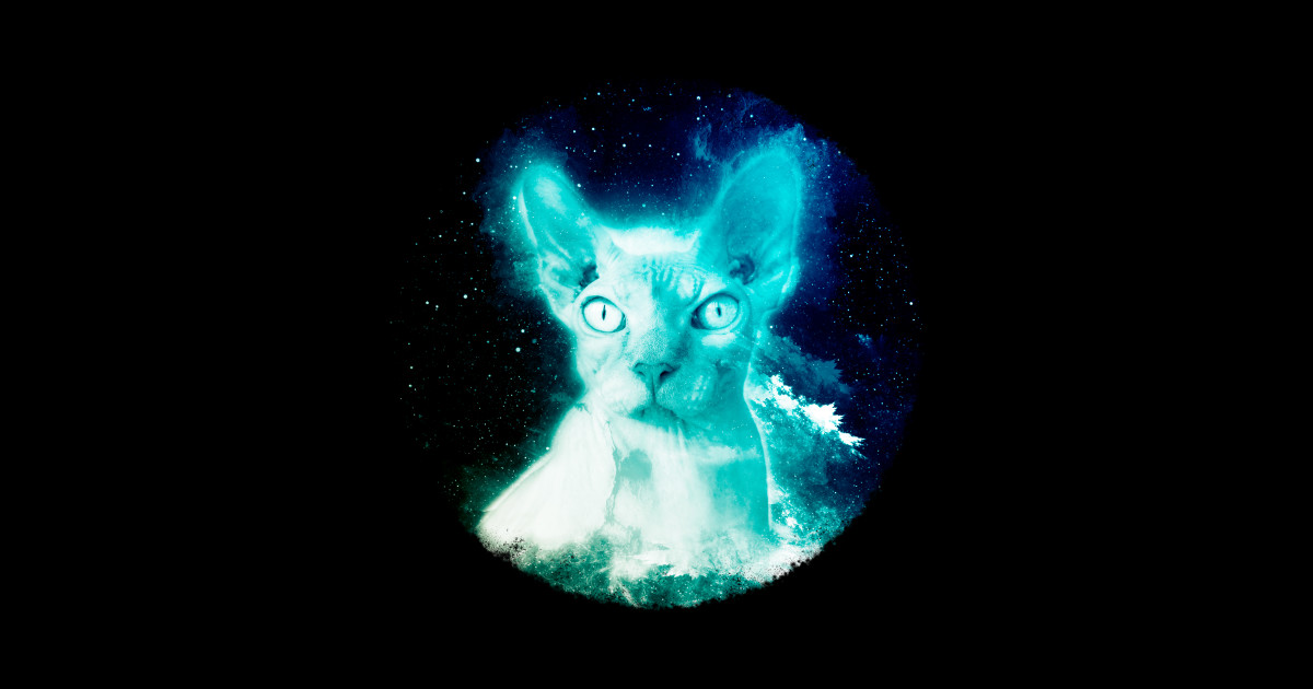 Sphynx Cat Shirt Sci fi Space Hairless Cat T Shirt - Alien Abduction ...