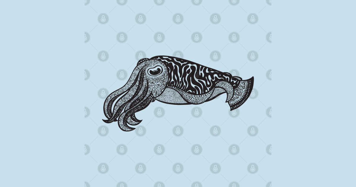 Cuttlefish - hand drawn marine animal design - Cuttlefish - T-Shirt ...