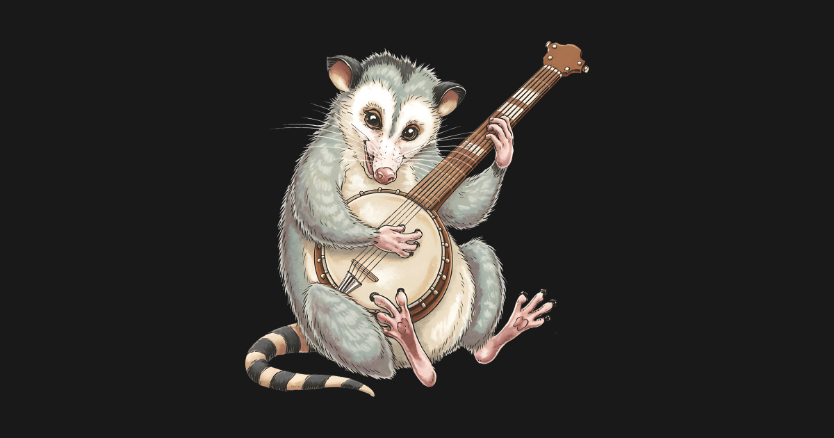 Funny Opossum Playing Banjo Shirt - This gift is perfect for lovers of ...