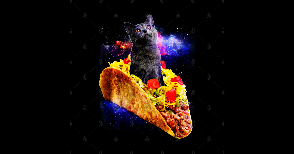 Cat Riding a Taco In Galaxy - Cat Taco - Sticker | TeePublic