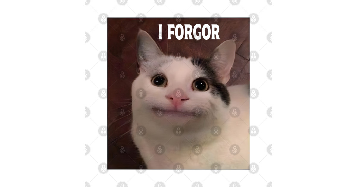 I Forgor Funny Cat Meme Silly Humor Joke Sarcastic Brainrot - I Forgor ...