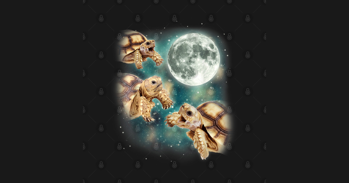 Three Tortoises Howl at Moon Wildlife Mountain Turtle Meme - Funny ...