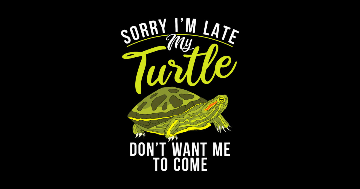Turtle Pet Sorry im late my Turtle dont want me to comeTurtle Lover ...