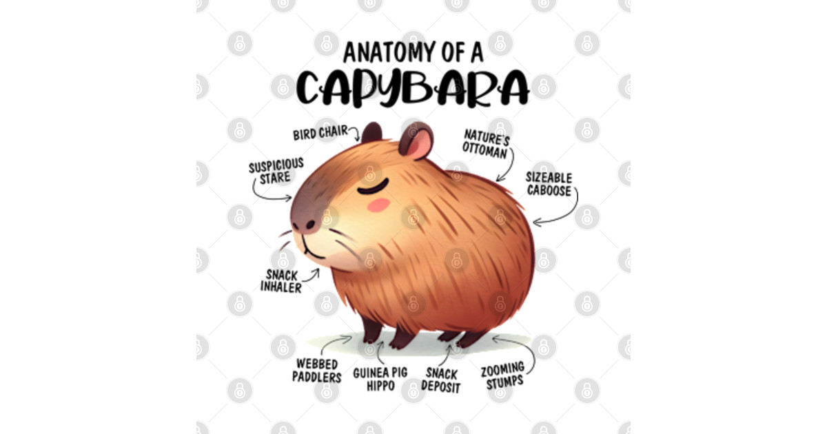 Anatomy Of A Capybara - Funny Capybara - T-Shirt | TeePublic
