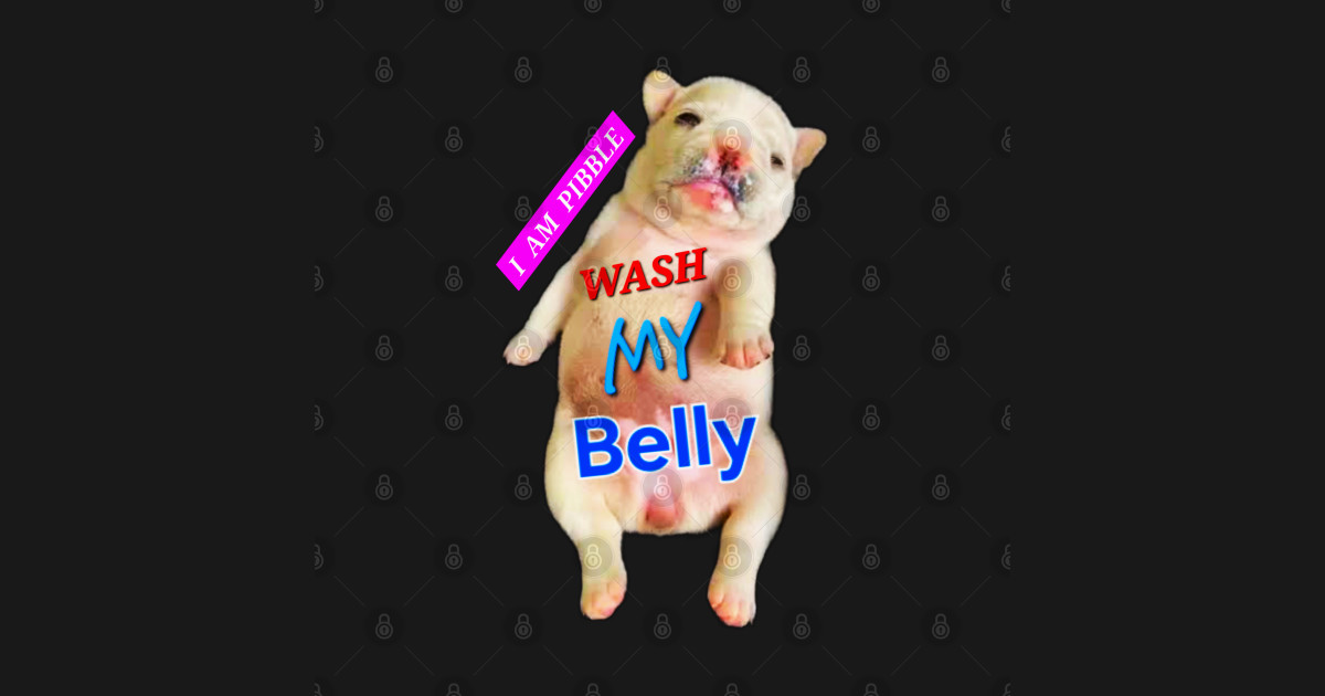 I am Pibble Wash My Belly Meme - Brainrot Meme - T-Shirt | TeePublic