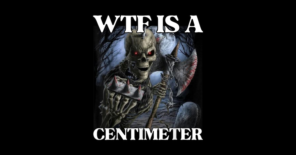 WTF Is A Centimeter Funny Cringe Hard Skeleton Meme - Wtf Is A ...