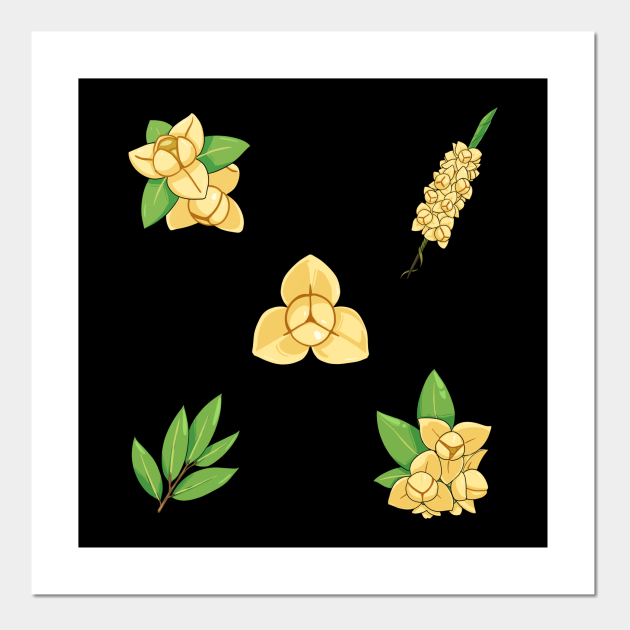 Khmer Rumdul Flower - Cambodian Flower - Posters and Art Prints | TeePublic