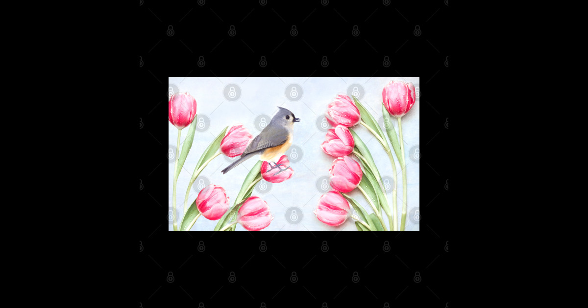 Tufted Titmouse Bird in the Tulip Garden - Tufted Titmouse - Posters ...