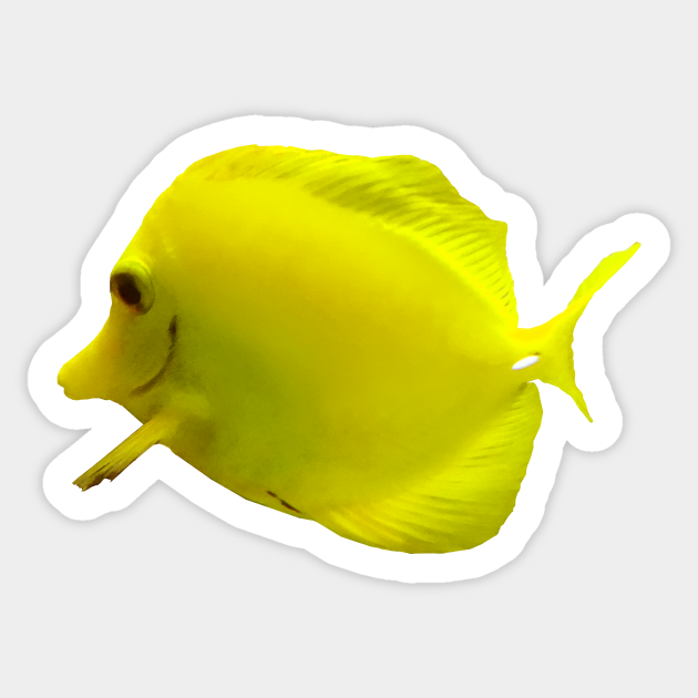 Fish - Yellow Tang - Tang - Sticker | TeePublic
