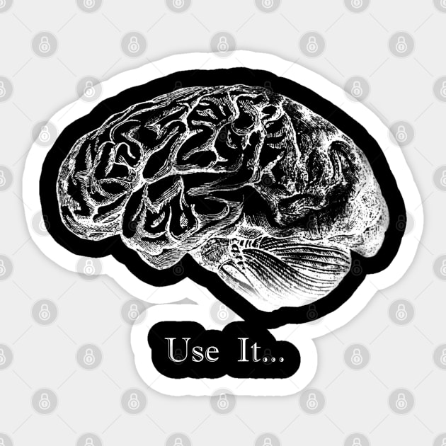 Brain Anatomy.. Use It... - Brain Anatomy Art - Sticker | TeePublic