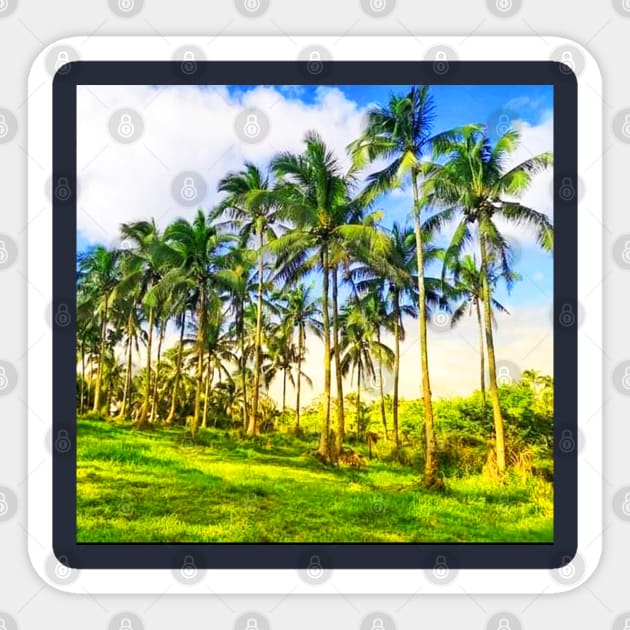 Beautiful coconut tree - Coconut Trees - Sticker | TeePublic