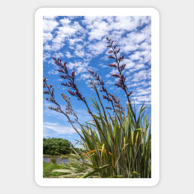 NZ flax bush. - Blue Sky - Sticker | TeePublic