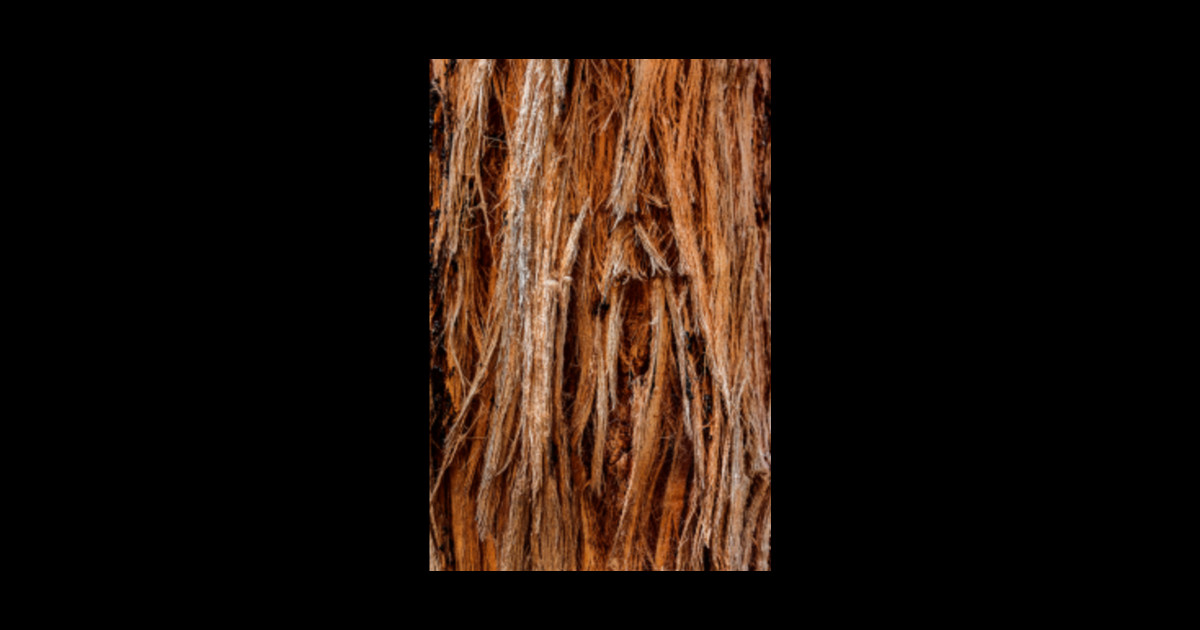 Stringy Bark Tree Texture - Bark - Sticker | TeePublic