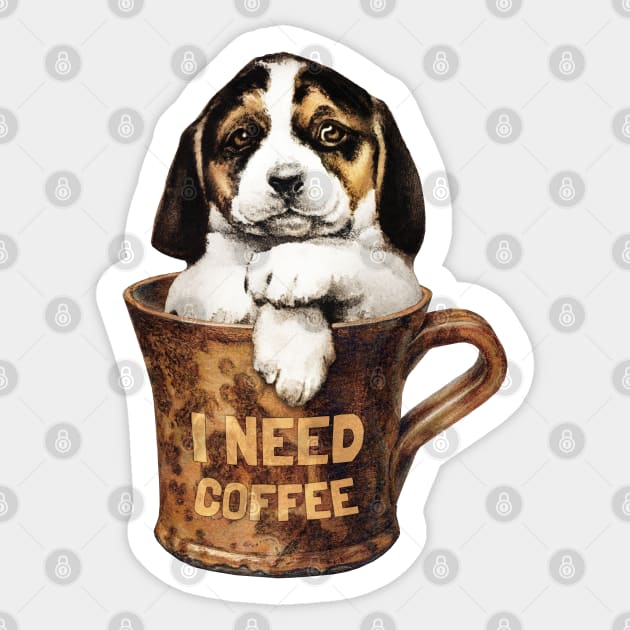 need coffee dog