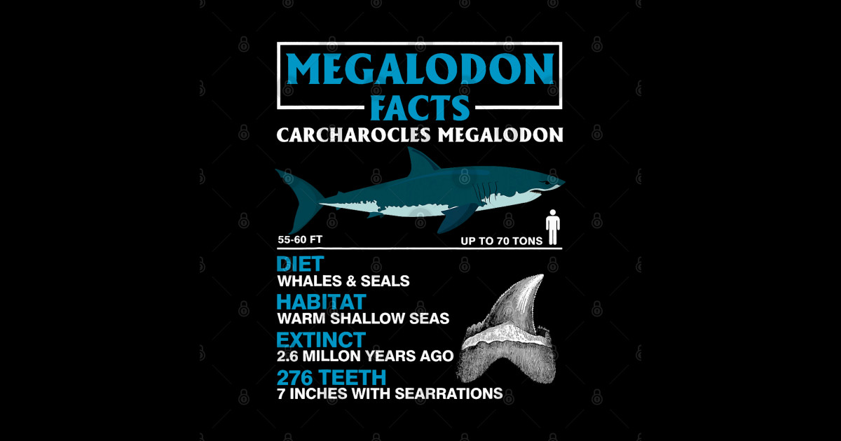 Shark Pet Meg Megalodon Facts Carcharocles Megalodon Prehistoric Shark ...