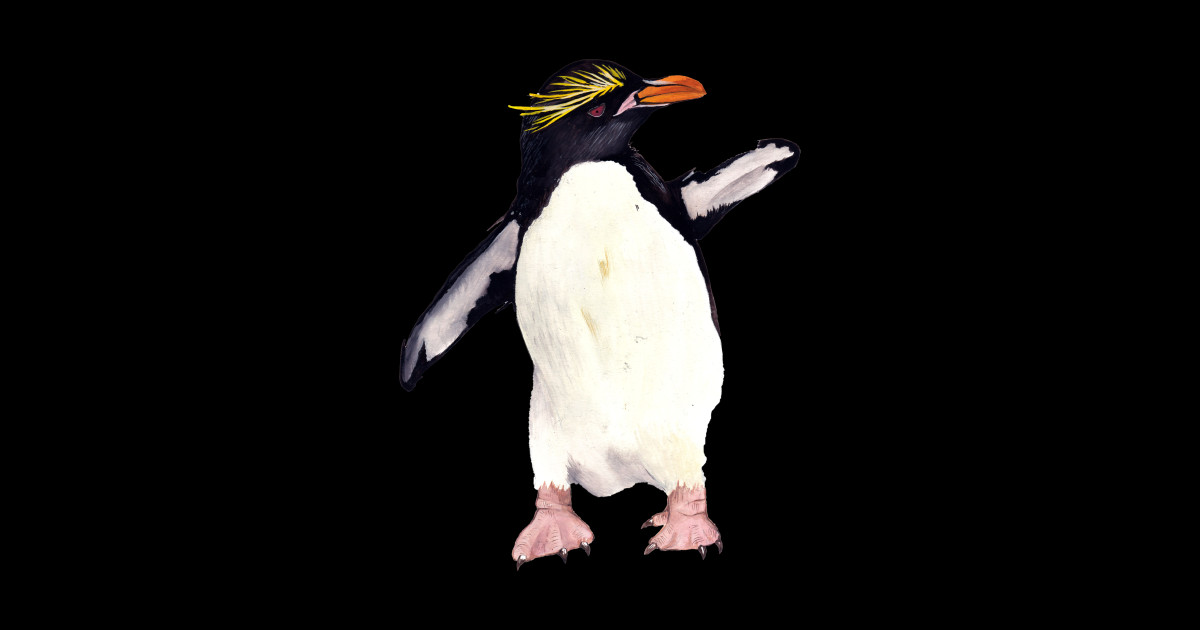 Macaroni Penguin - Penguin - Sticker | TeePublic