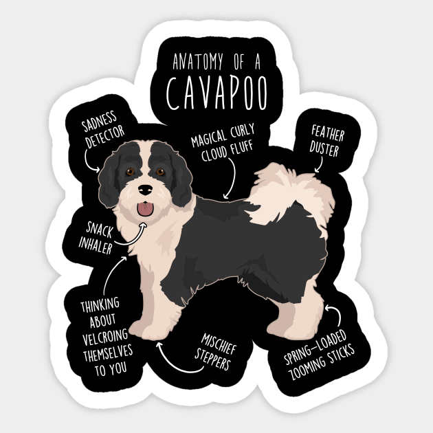 Parti Cavapoo Dog Anatomy - Cavapoo - Sticker | TeePublic