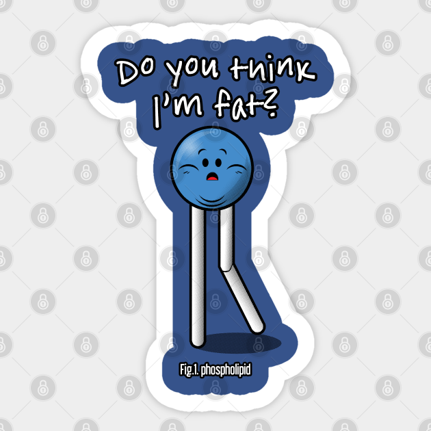Fat Lipid - Science - Sticker | TeePublic