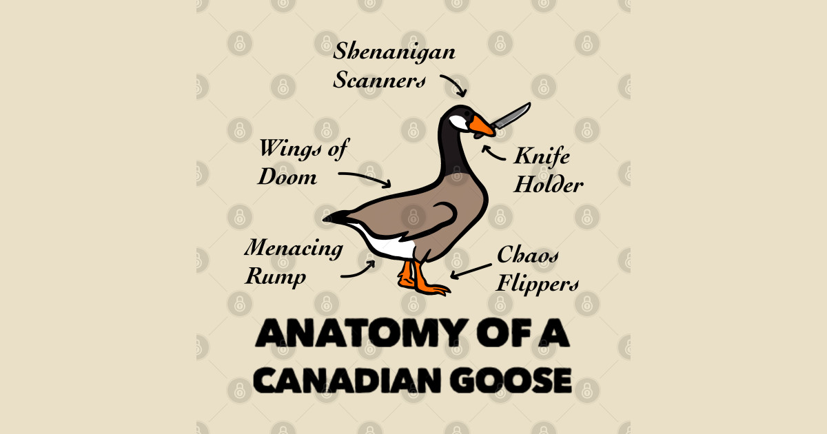 Anatomy of a Canadian Goose - Anatomy Of A Goose - T-Shirt | TeePublic