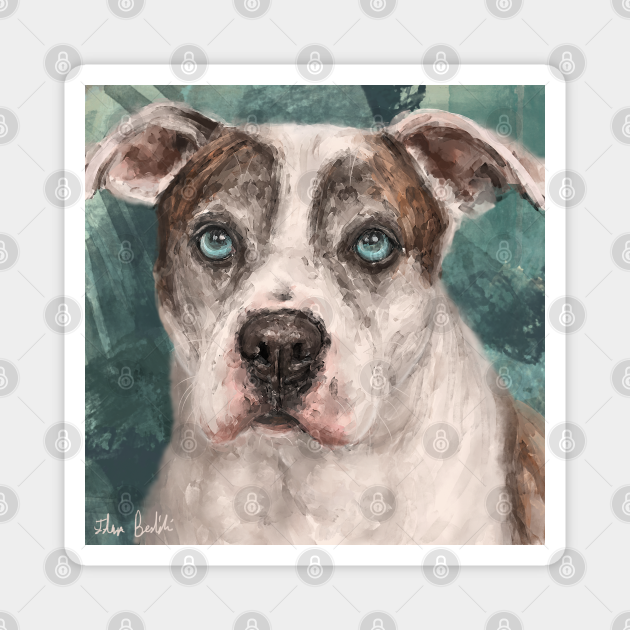 Painting of a Gorgeous Amstaff Dog with Blue Eyes - Amstaff - Magnet ...