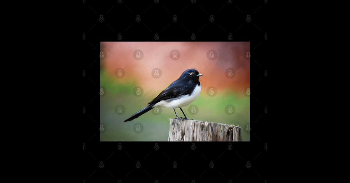 Willy Wagtail Australian Bird Painting - Bird Painting - Sticker ...