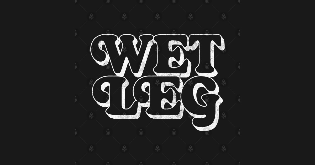 - Wet Leg - Excuse Me - T-Shirt | TeePublic