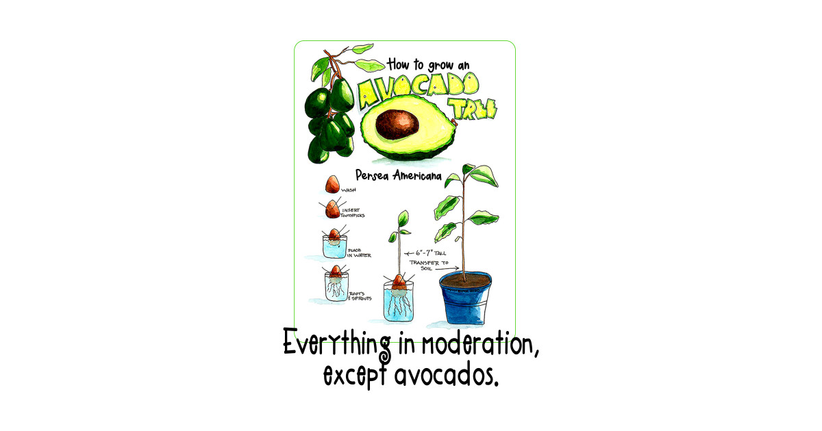 How To Grow An Avocado Tree - Avocados - T-Shirt | TeePublic