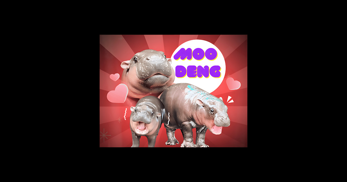 The Cute Baby Hippo Moo Deng Cute Baby Hippo In Thai Zoos - Moo Deng ...