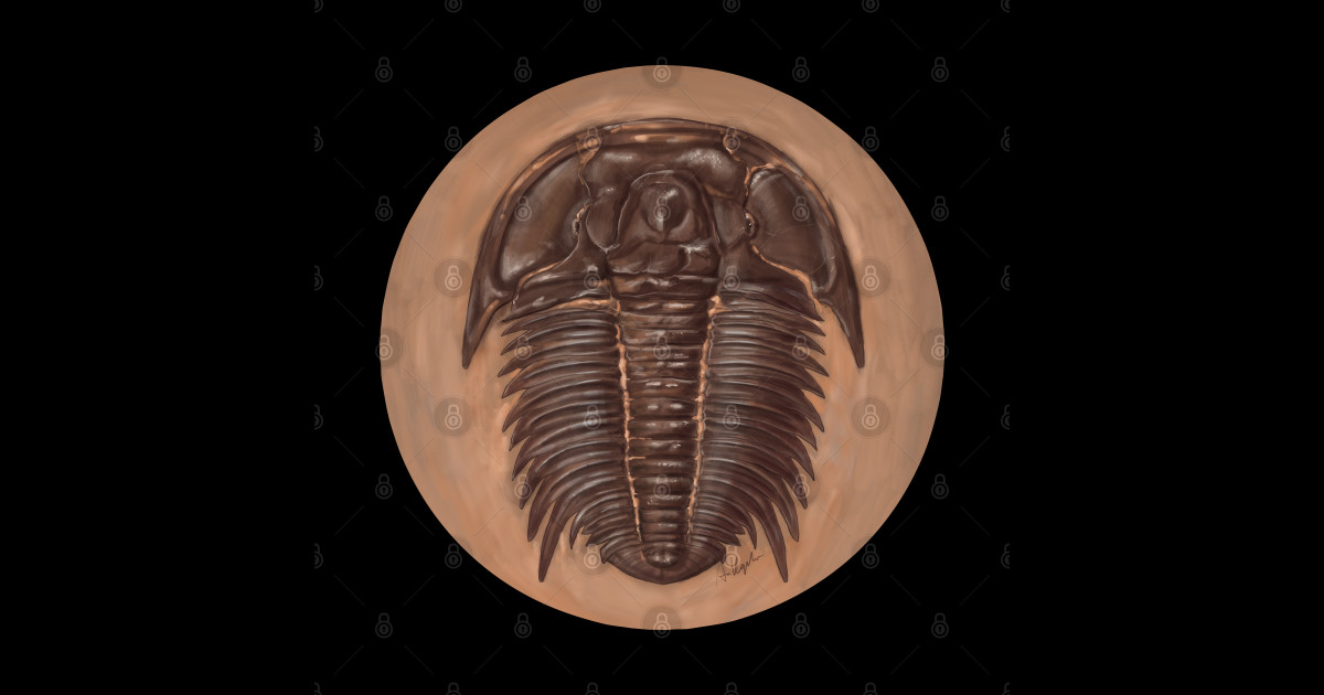 Trilobite Modocia typicalis, original artwork - Trilobite - Sticker ...