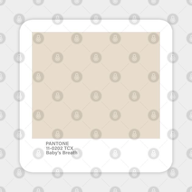 pantone 11-0202 TCX Baby s Breath - Pantone 11 0202 Tcx Babys Breath ...