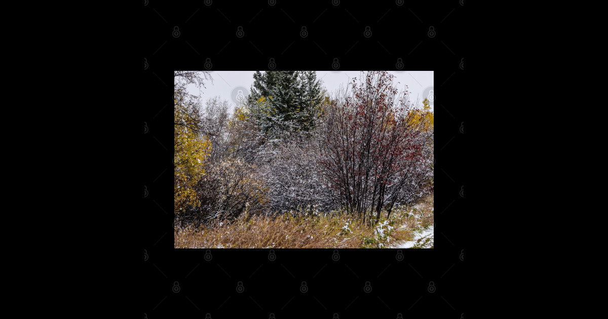 First Snowfall. - First Snowfall - Sticker | TeePublic